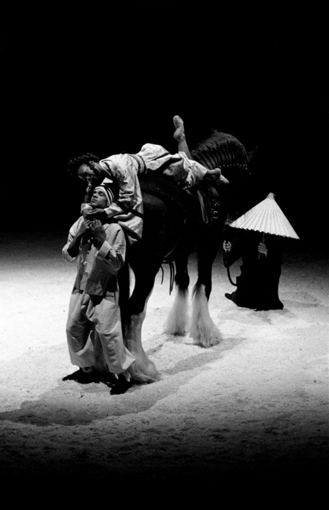 Les spectacles de Zingaro